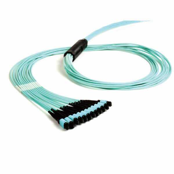 Trunks MTP / MPO | Siemon