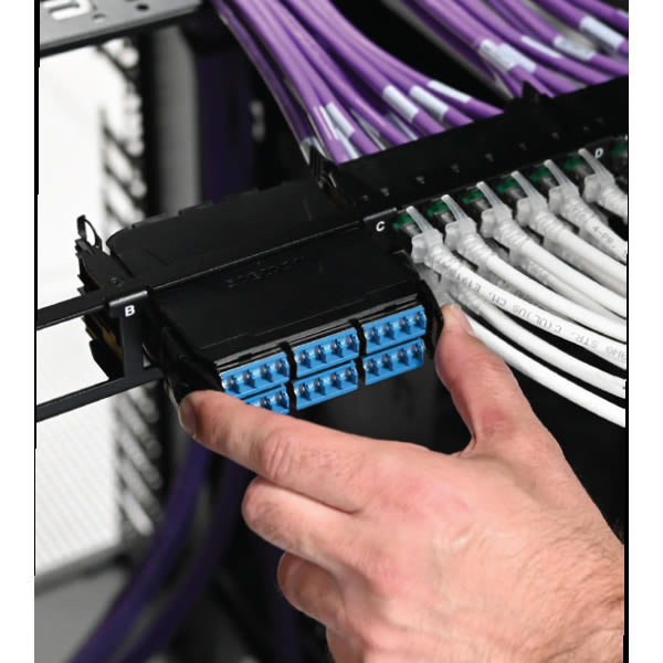 LightVerse Combo adapter Plate, blank - SIEMON